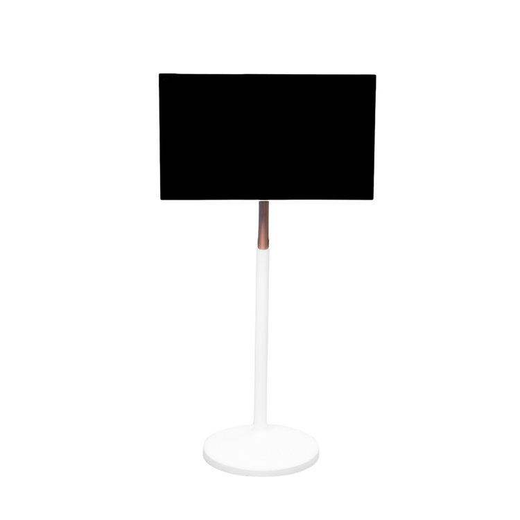 FlexView-Electronics – FlexView Electronics